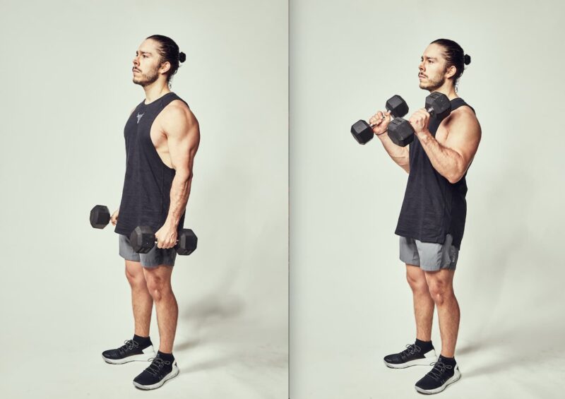 Cómo hacer crecer los bíceps - We Rise Project